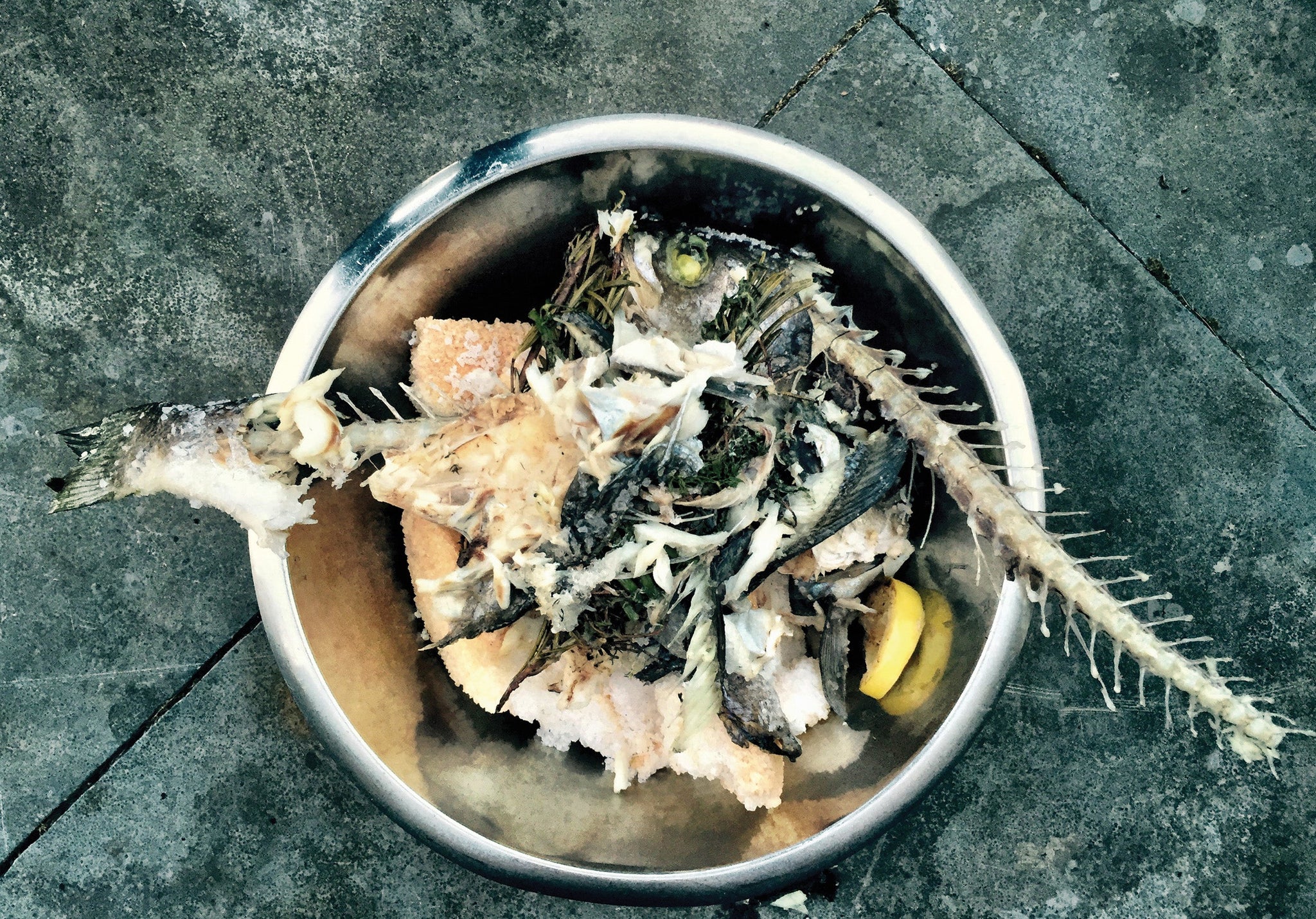 Fish Amino Acid Plant Tonic