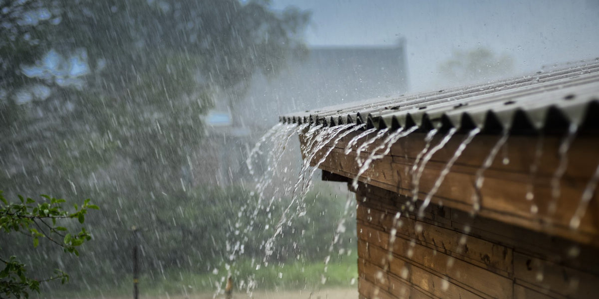 How Rainwater Harvesting Can Save You Money on Water Bills and Benefit