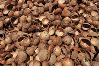 Recycling Coconut Waste: Uses of Coconut Shell